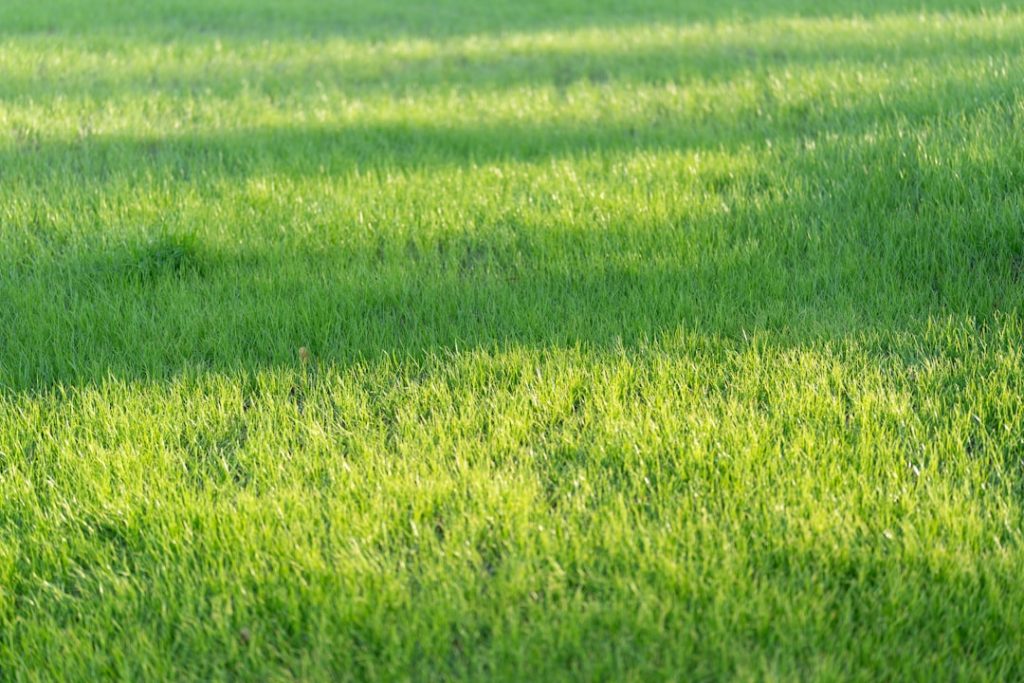 How to Identify a Cub Cadet Date Code - Your Green Thumb