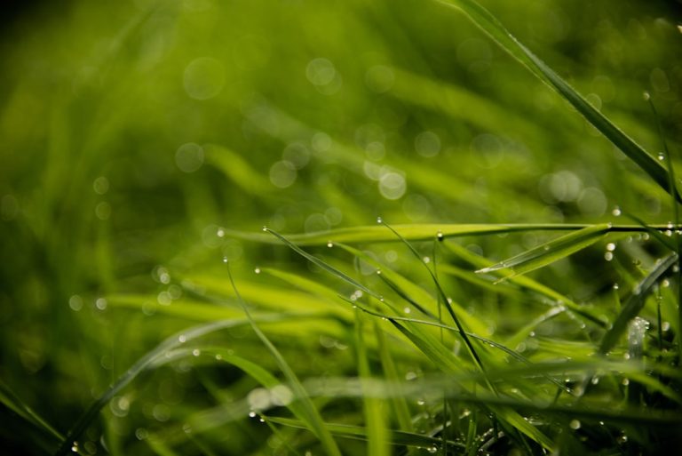 How to Fix Mower Blades That Won't Engage - Your Green Thumb